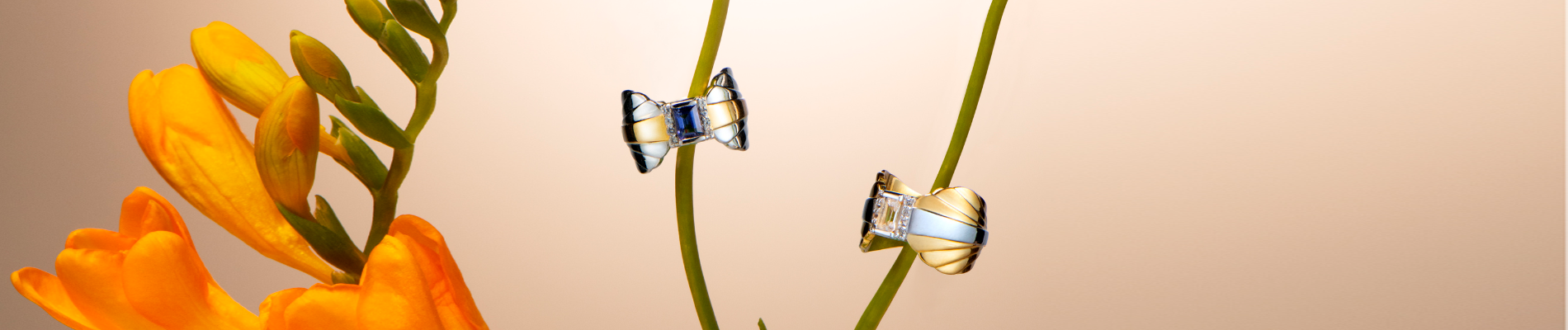 Anéis – Jessica Kattan